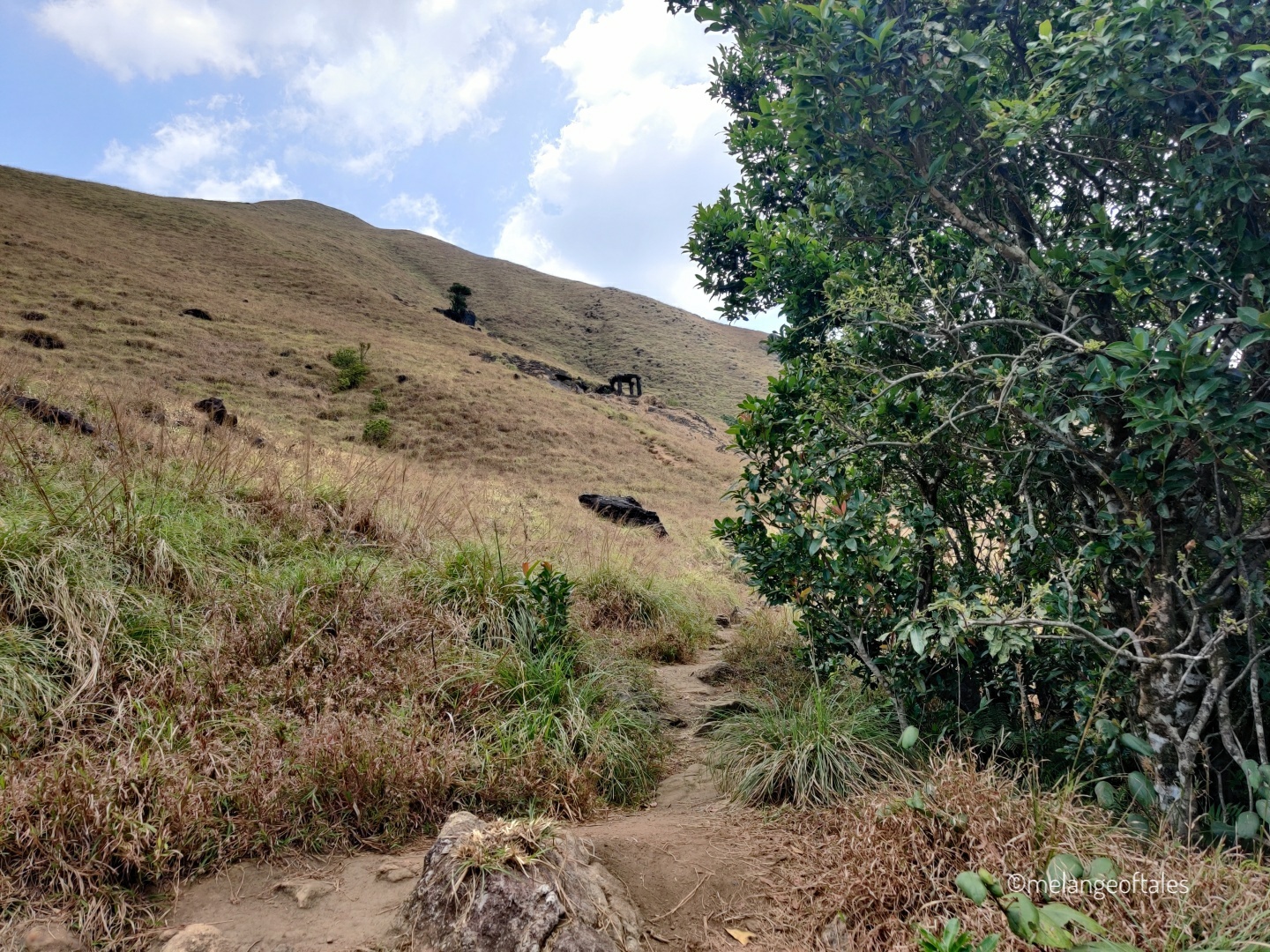 Trek to Kumara Parvata